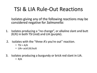 -i-Salmonella--i--Flipbook.pdf