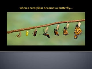 I-TRANSFORM | PPTX