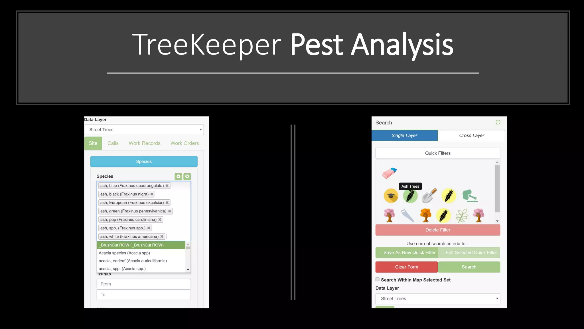 i-Tree vs TreeKeeper 8 | PDF
