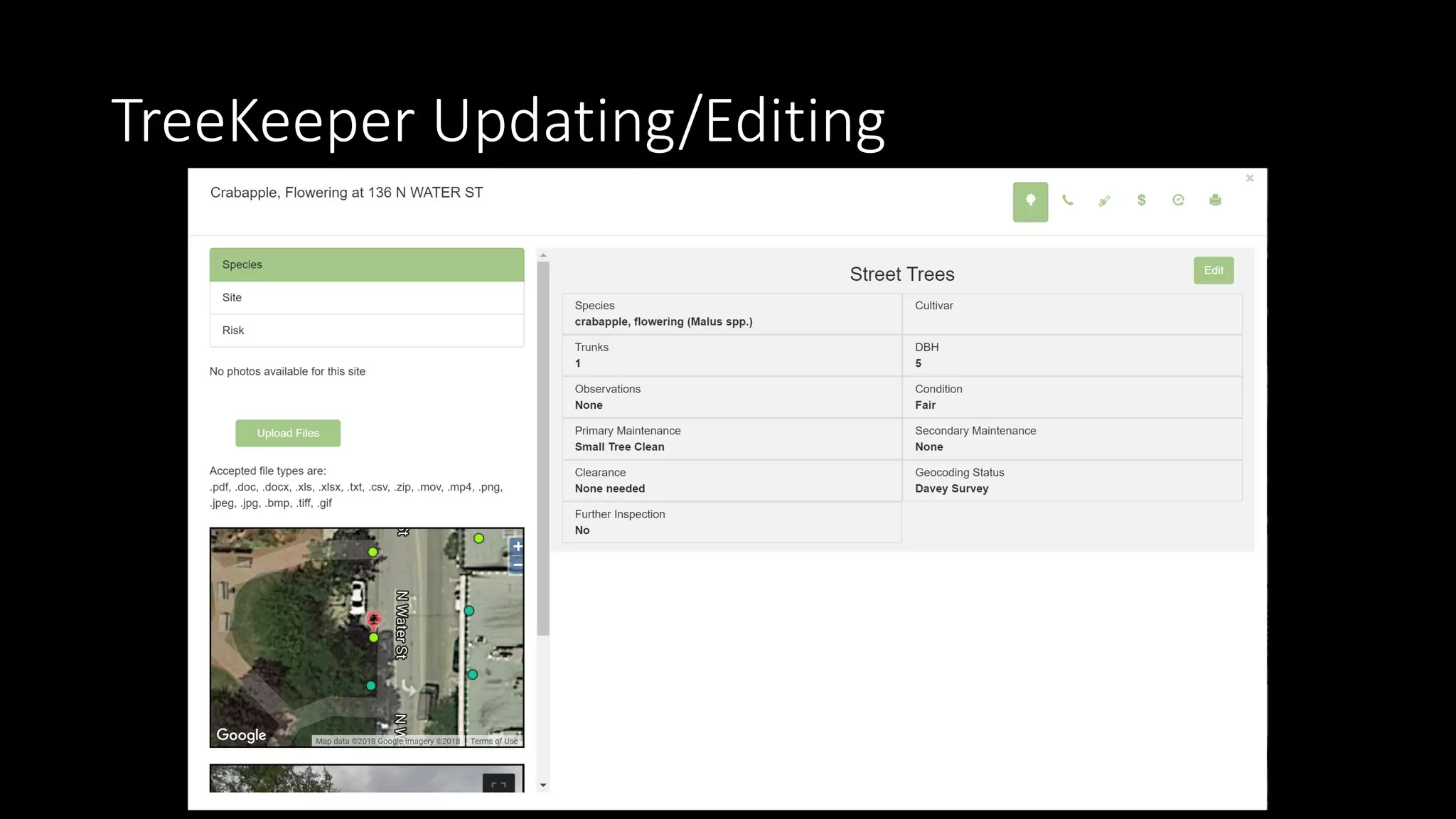 i-Tree vs TreeKeeper 8 | PDF
