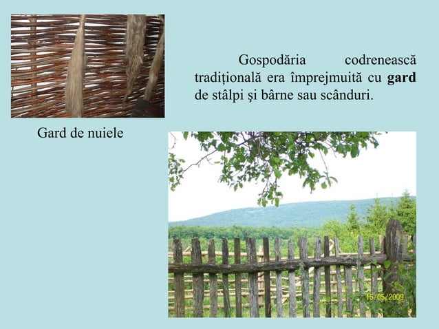 Zona Etnografica Codru | PPT