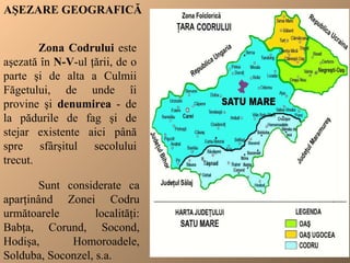 Zona Etnografica Codru | PPT