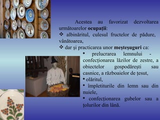 Zona Etnografica Codru | PPT