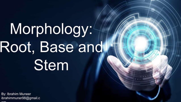 Root, Base and Stem | PPSX | Geology | Science
