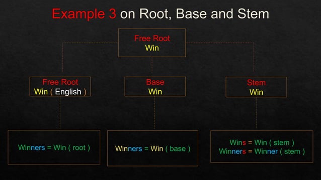 Root, Base and Stem | PPSX | Geology | Science