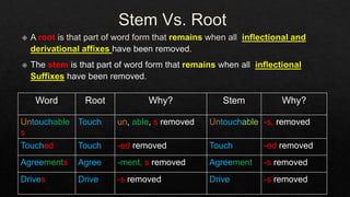 Root, Base and Stem | PPSX