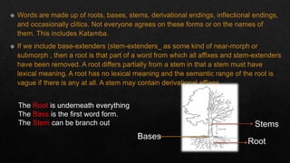 Root, Base and Stem | PPSX