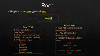 Root, Base and Stem | PPSX