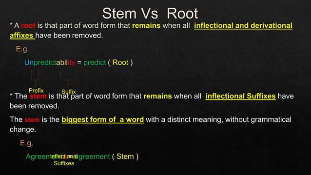 Root, Base and Stem | PPSX | Geology | Science