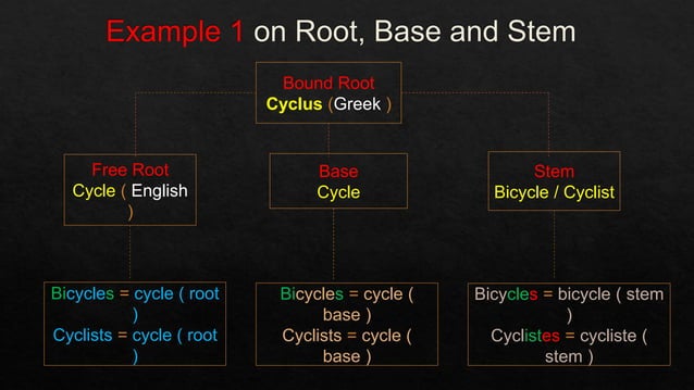 Root, Base and Stem | PPSX | Geology | Science