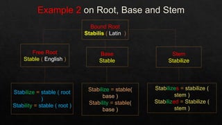 Root, Base and Stem | PPSX