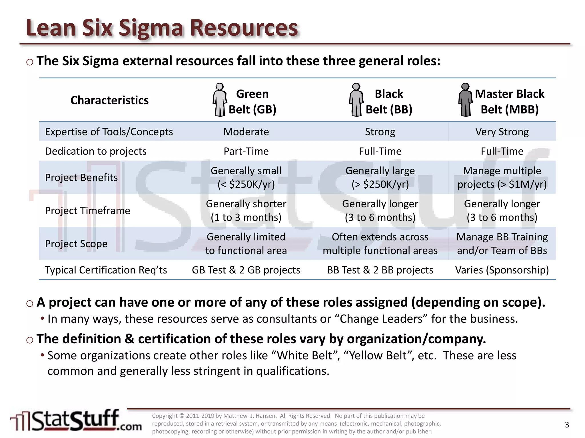 Key Roles in a Lean or Six Sigma Project with Matt Hansen at StatStuff ...