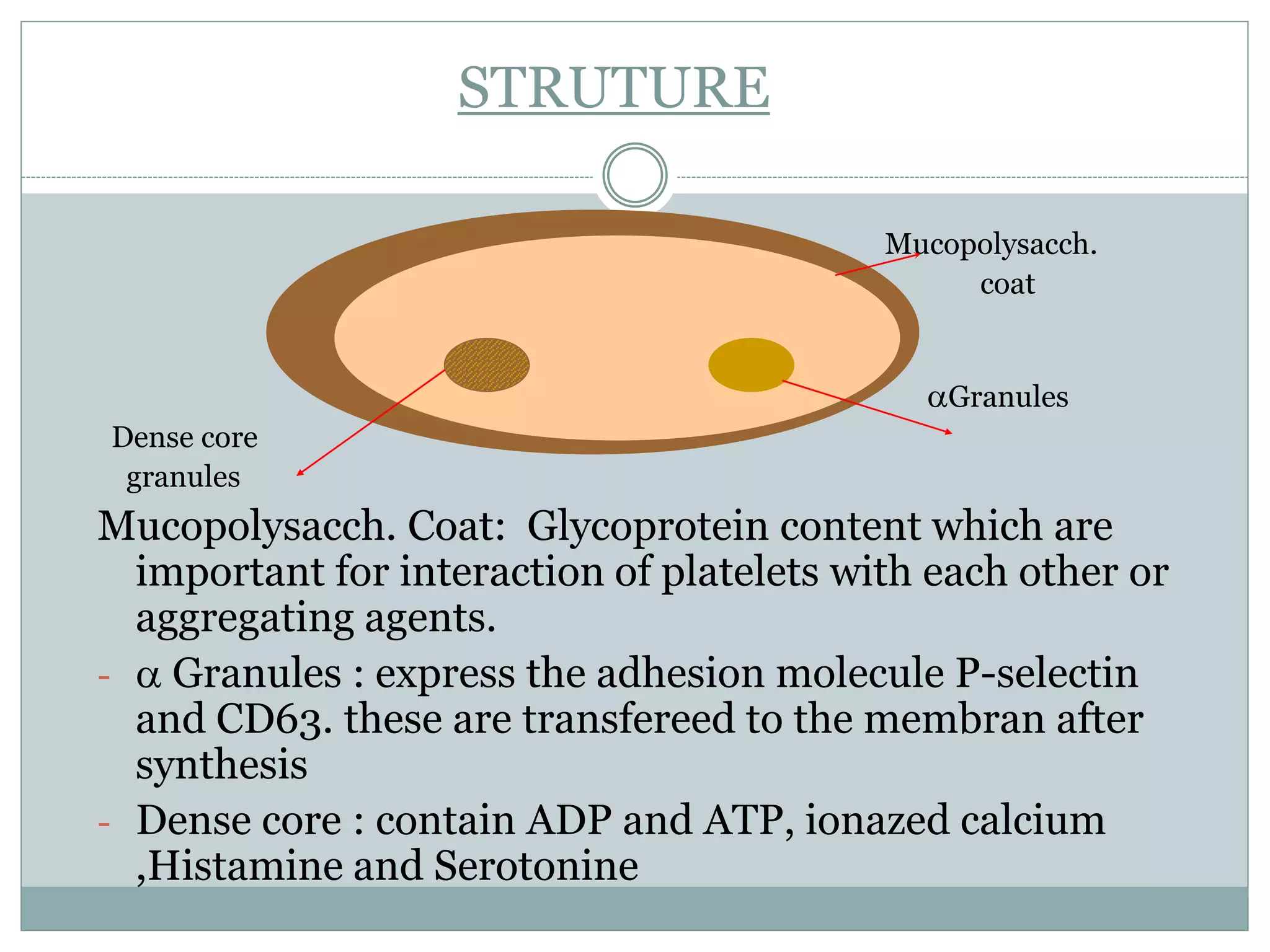 Glanzmann thrombasthenia | PPTX