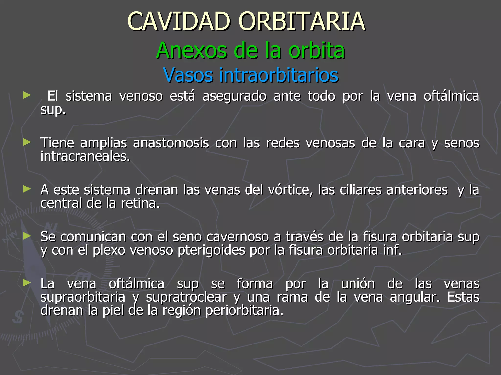 ( I ) 3 orbita y a. anatomia 1 | PPT | Eye and Vision Conditions ...