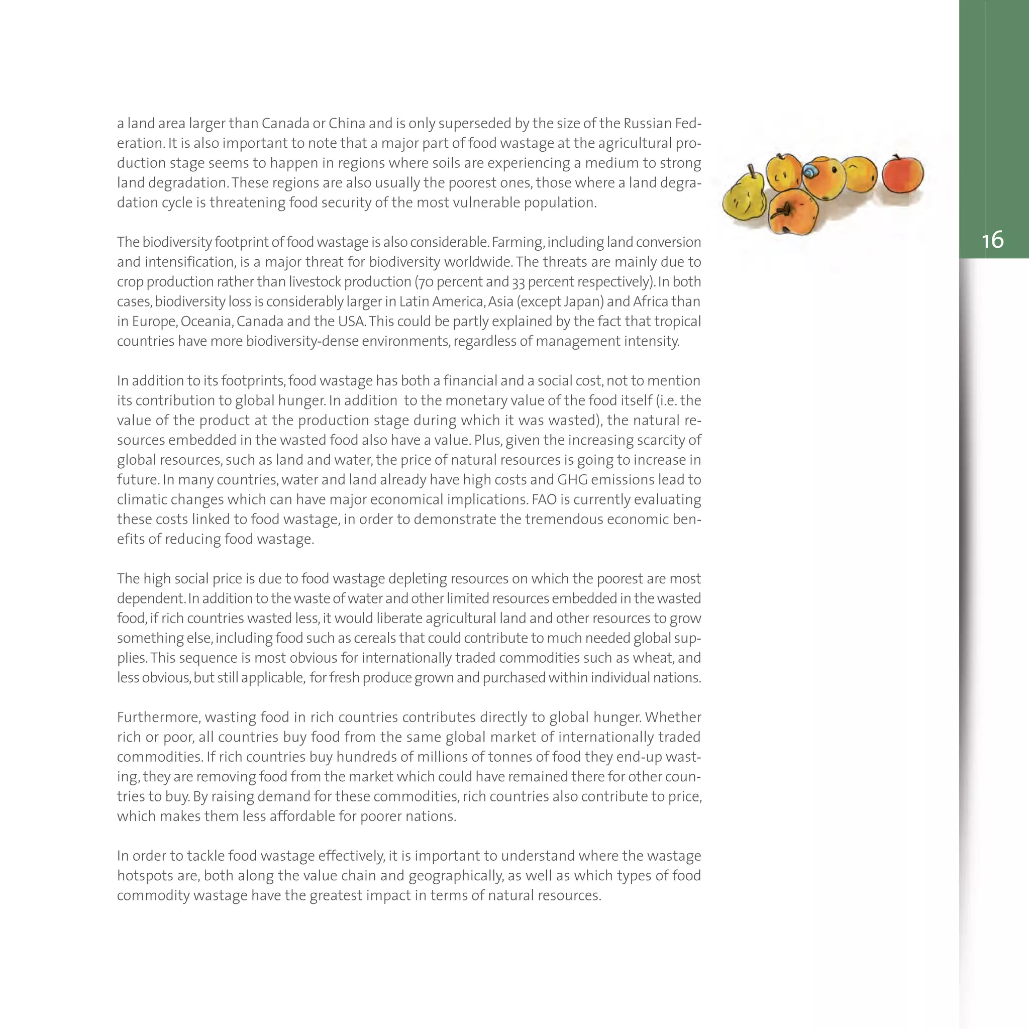 FAO - Food wastage footprint | PDF