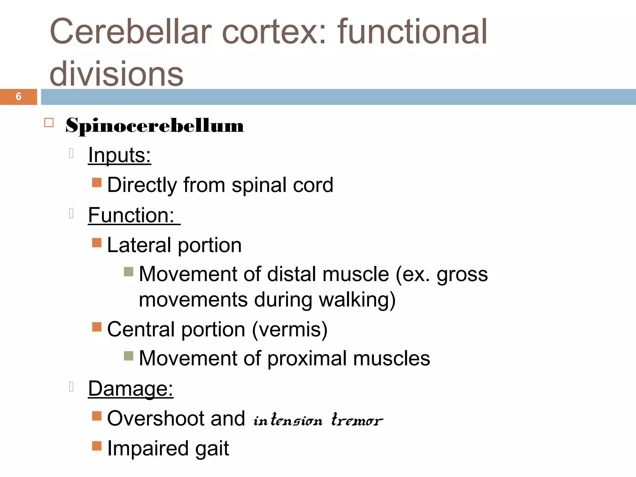 Cerebellum and basal ganglia | PPT