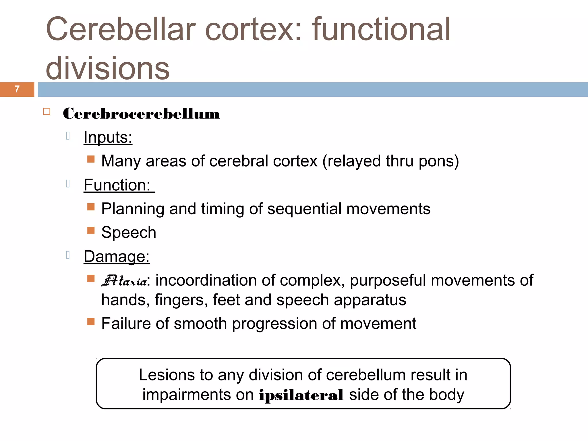 Cerebellum and basal ganglia | PPT