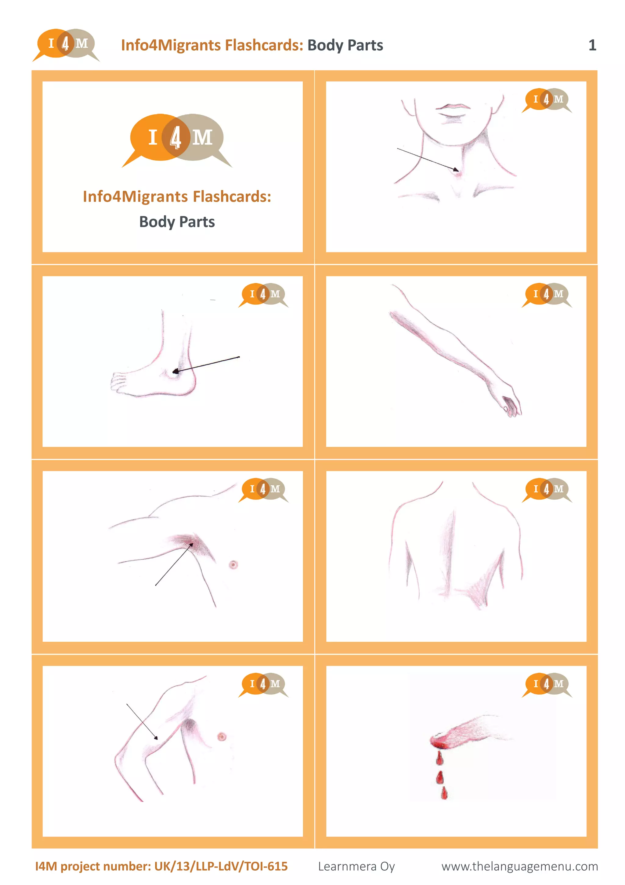 I4M flashcards: body parts | PDF