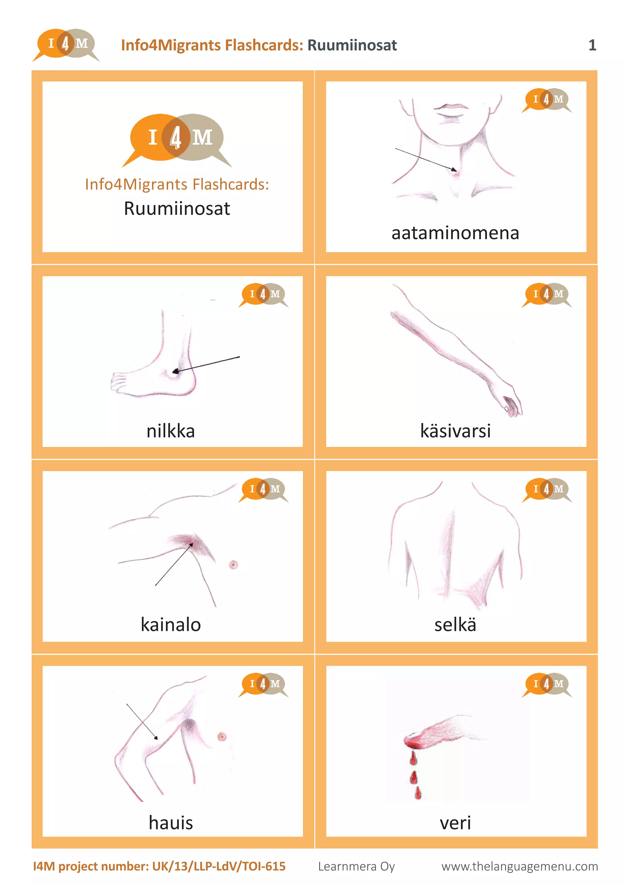 I4M flashcards: body parts (in finnish) | PDF