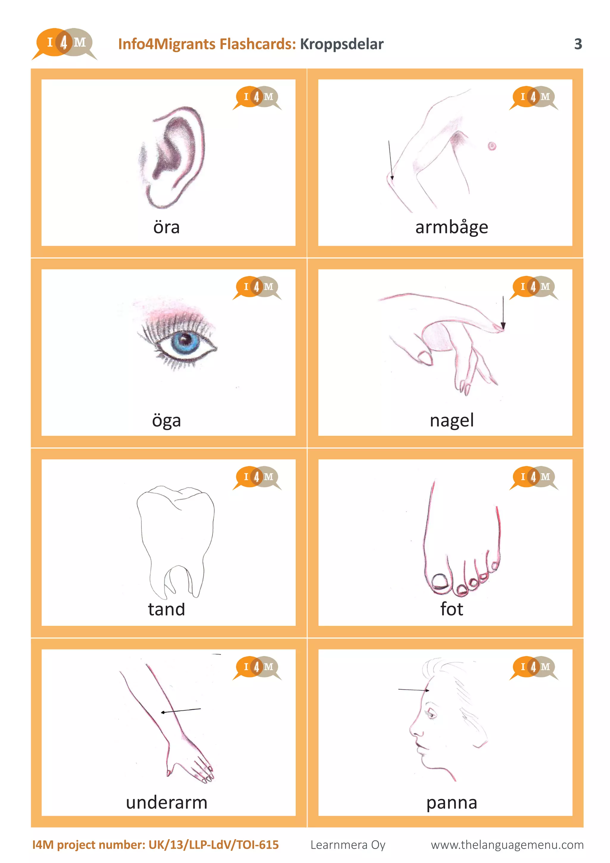 I4 M flashcards: body parts (in swedish) | PDF