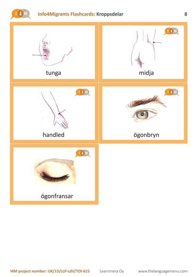 I4 M flashcards: body parts (in swedish) | PDF