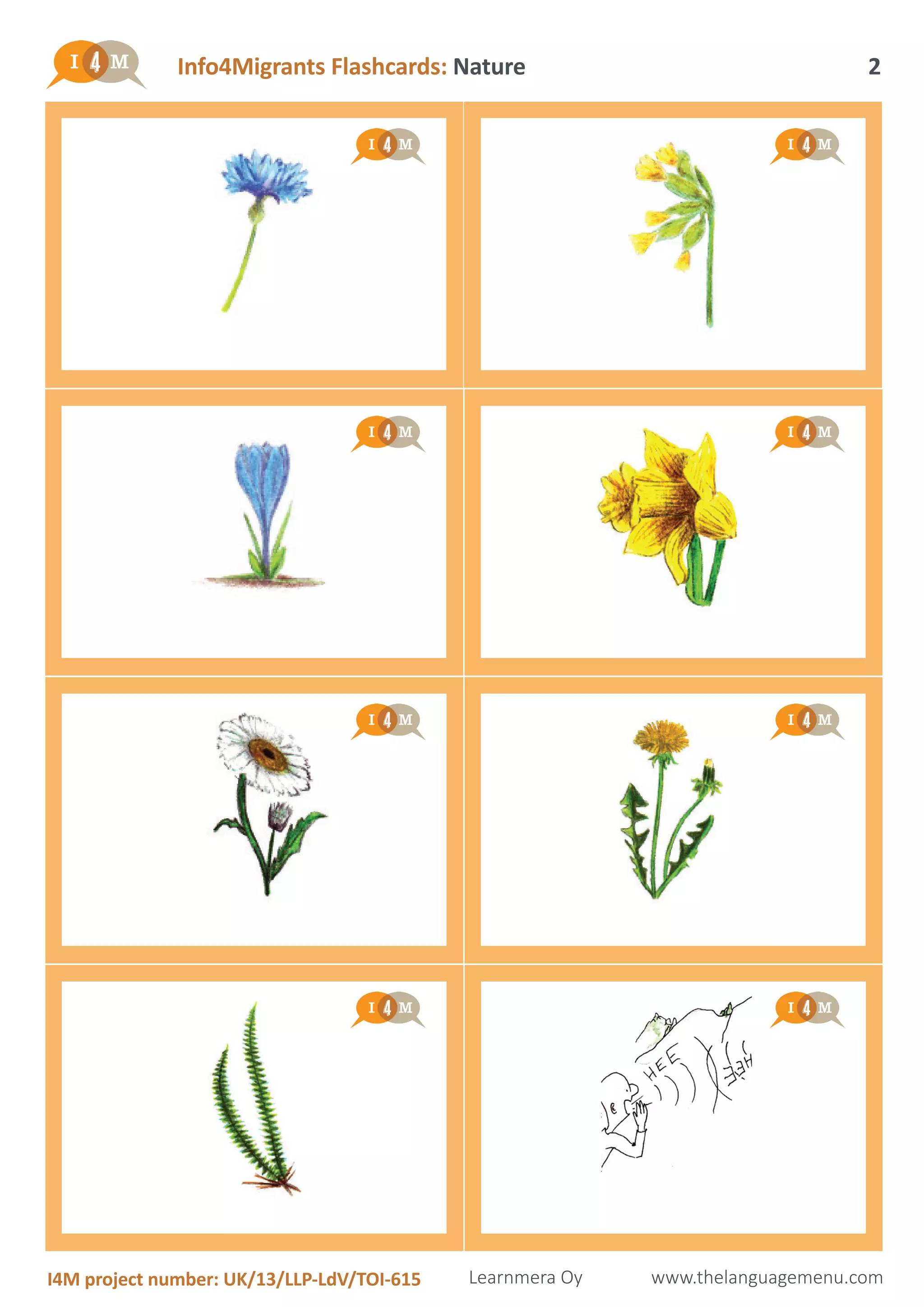I4M flashcards: nature | PDF