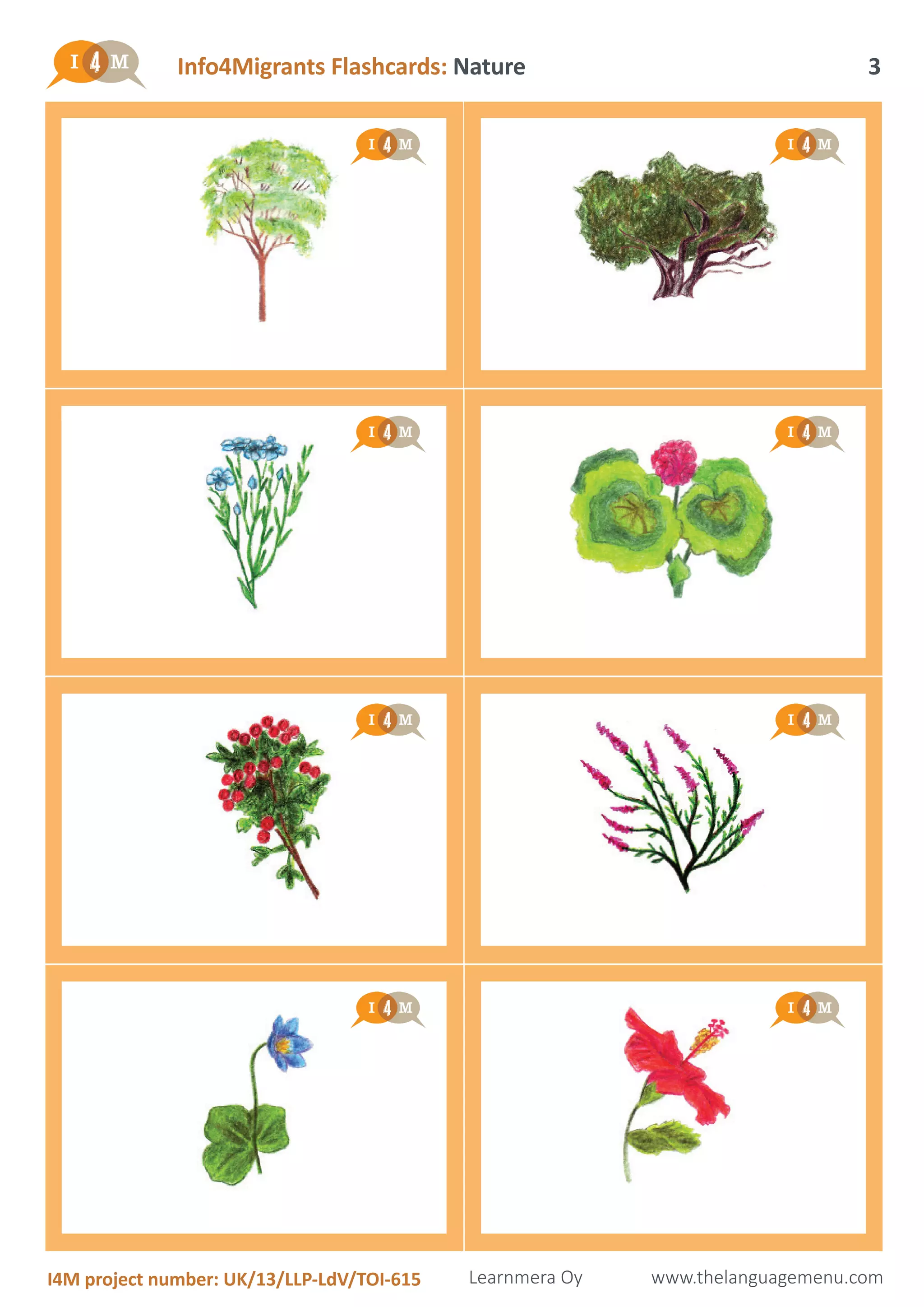 I4M flashcards: nature | PDF