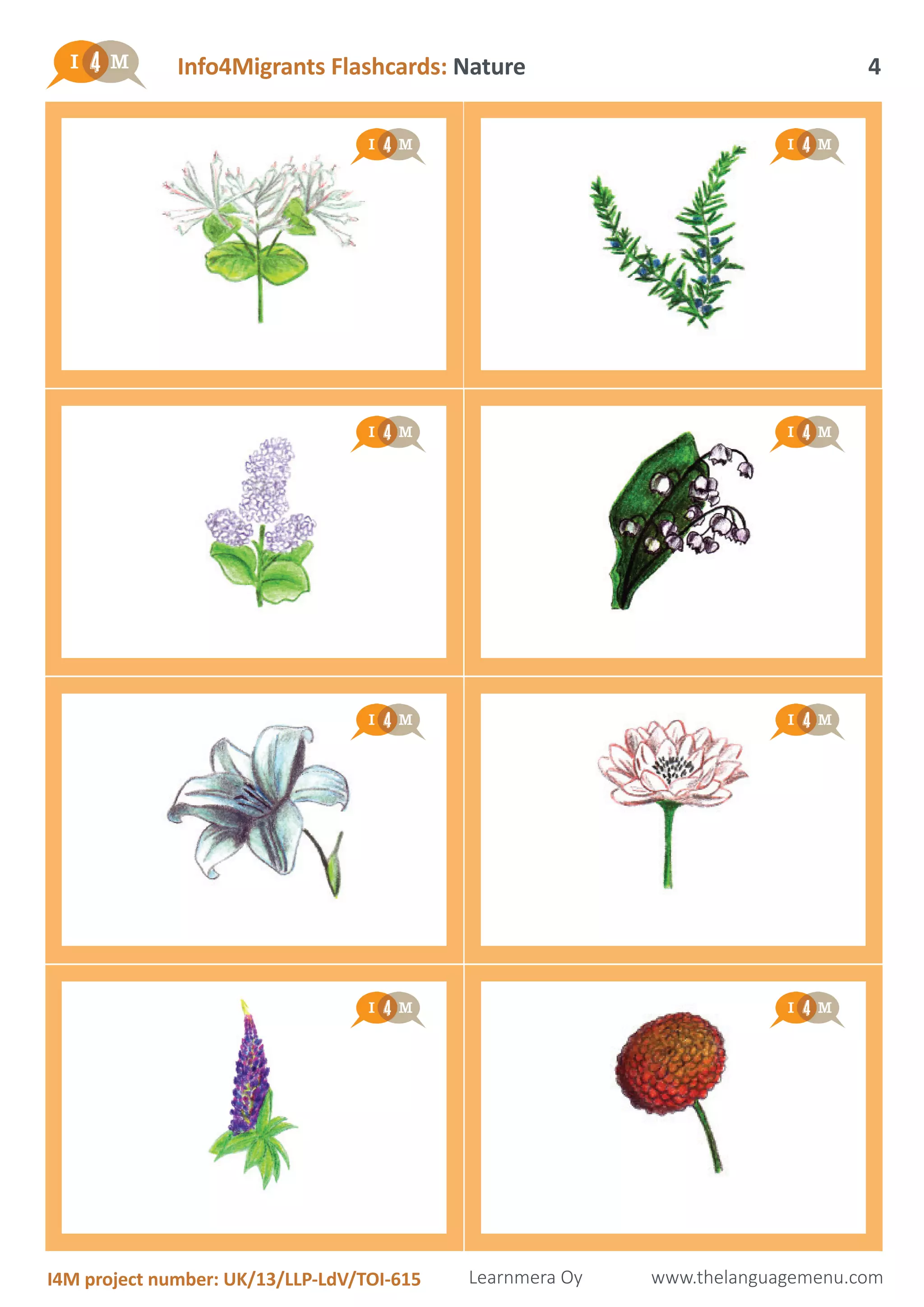 I4M flashcards: nature | PDF