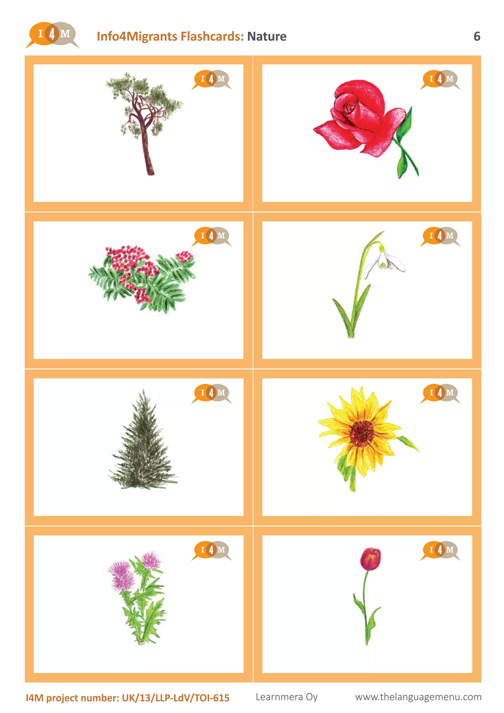 I4M flashcards: nature | PDF