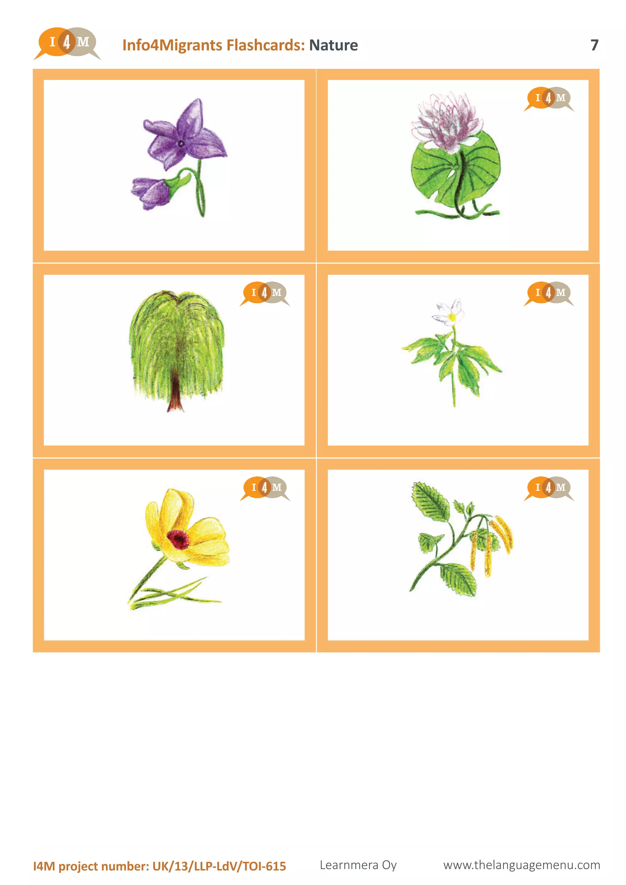 I4M flashcards: nature | PDF