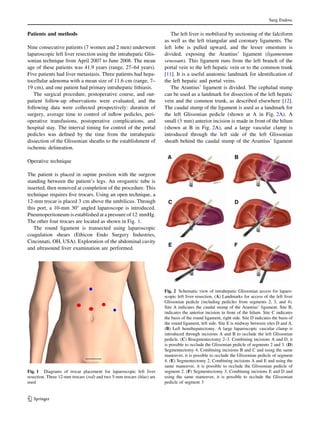 Laparoscopic intrahepatic Glissonian technique for liver surgery ...