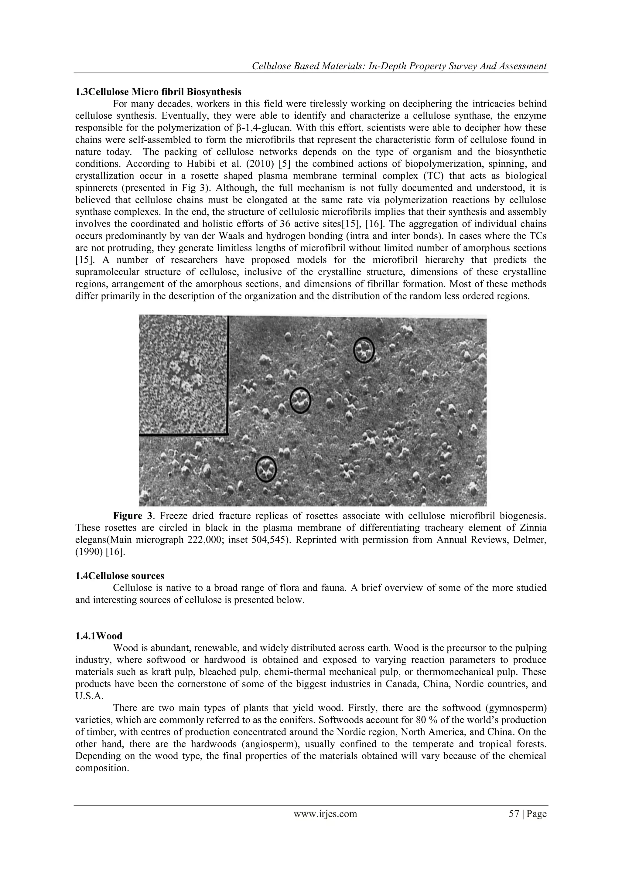Cellulose Based Materials: in-Depth Property Survey And Assessment | PDF