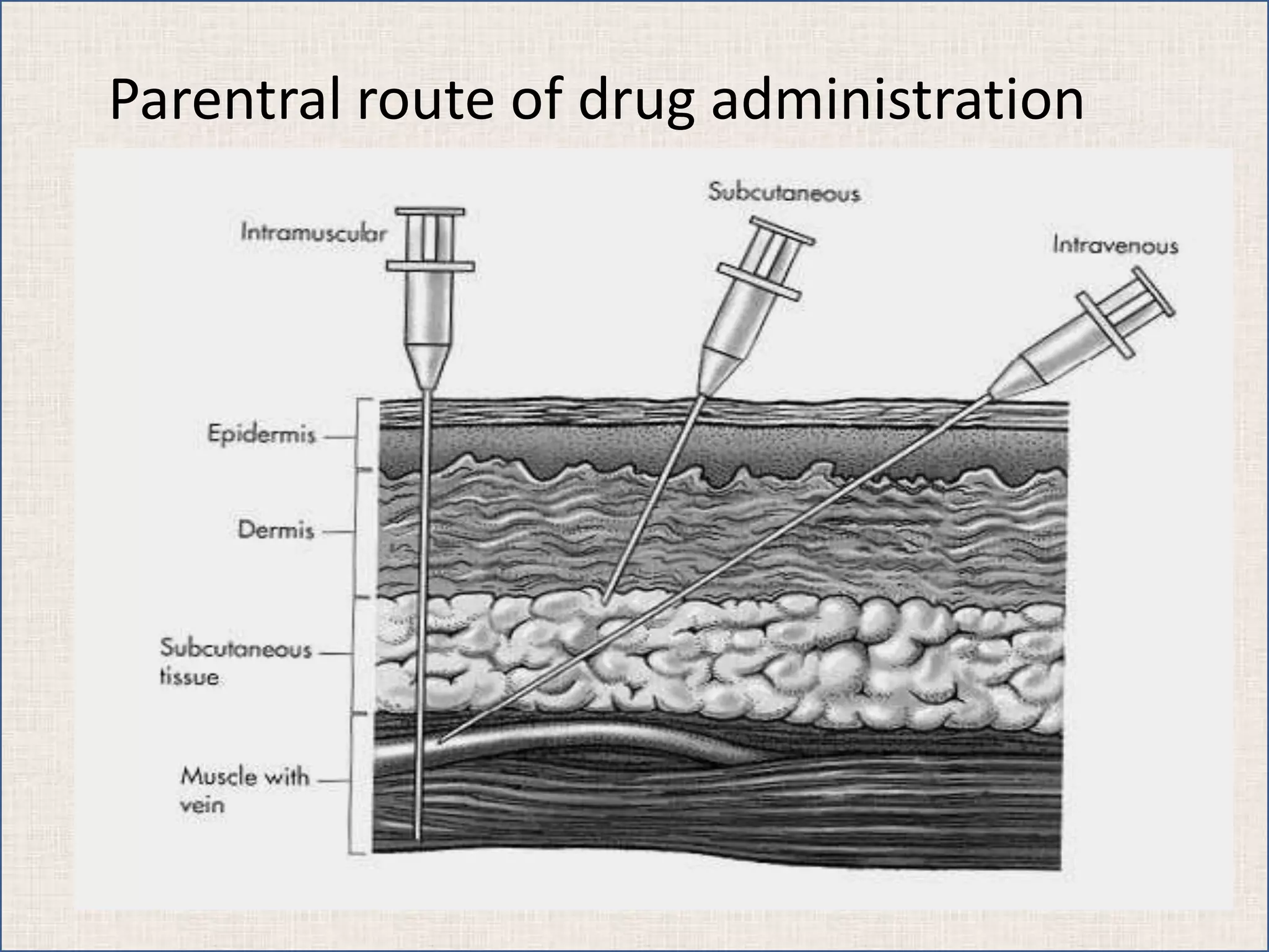 Route of Drug Administration | PPTX | Skin and Dermatology | Diseases ...