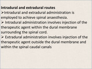 Route of Drug Administration | PPTX