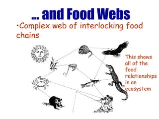 I:\7th grade\ecology\chapter1\ecology intro notes | PPT