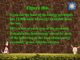 I:\7th grade\ecology\chapter1\ecology intro notes | PPT