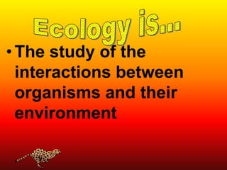 I:\7th grade\ecology\chapter1\ecology intro notes | PPT