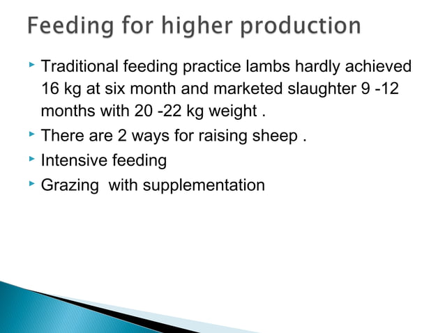 Feeding practices in small ruminants | PPT | Pregnancy | Reproductive ...