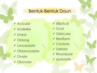 Morfologi Daun | PPT