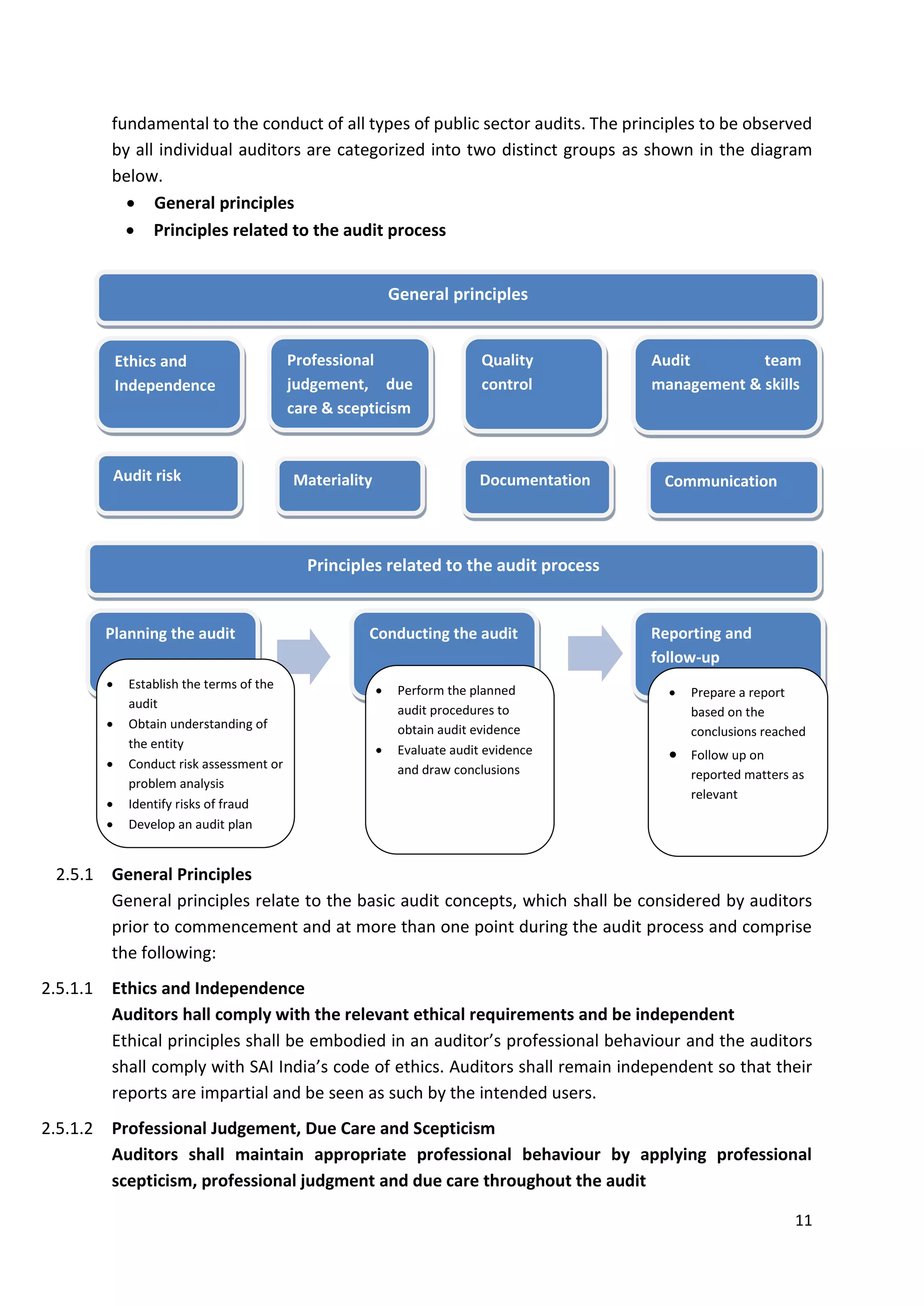 CAG’s Auditing Standards 2017 | PDF