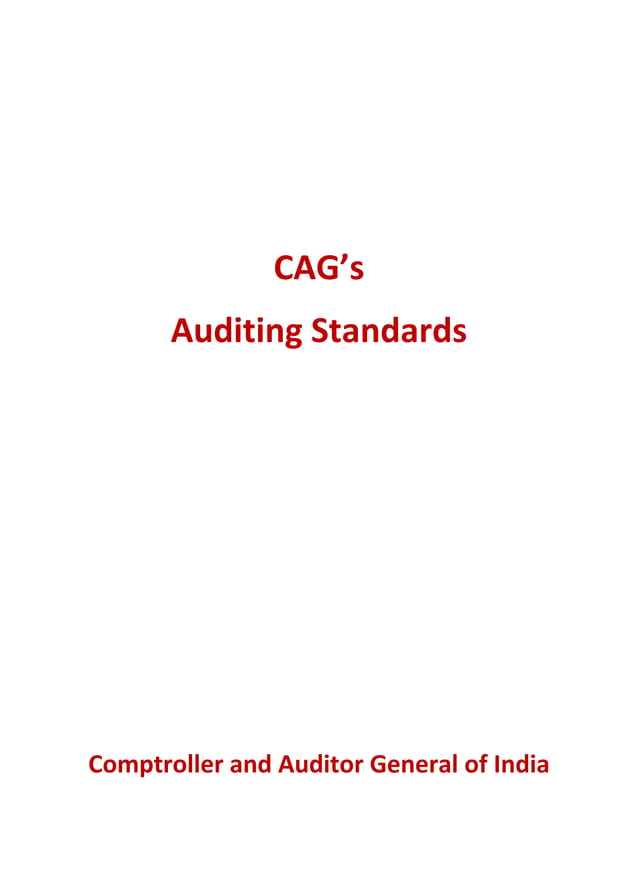CAG’s Auditing Standards 2017 | PDF | Personal Taxes | Personal Finance