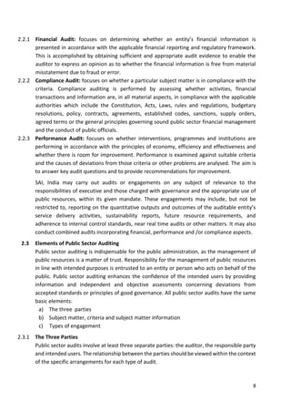 CAG’s Auditing Standards 2017 | PDF