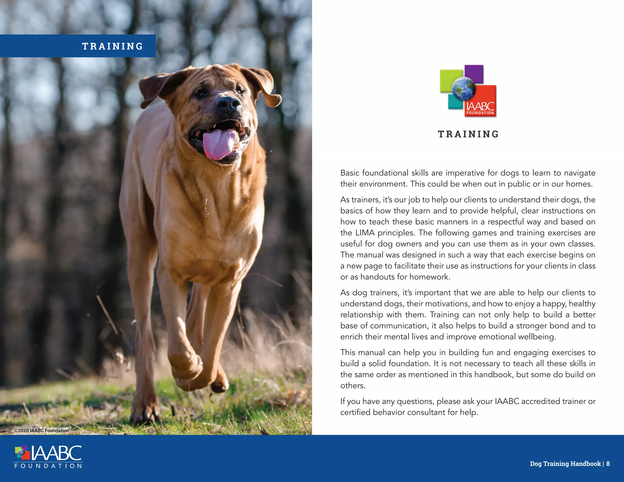 How To Train Your Puppy | PDF