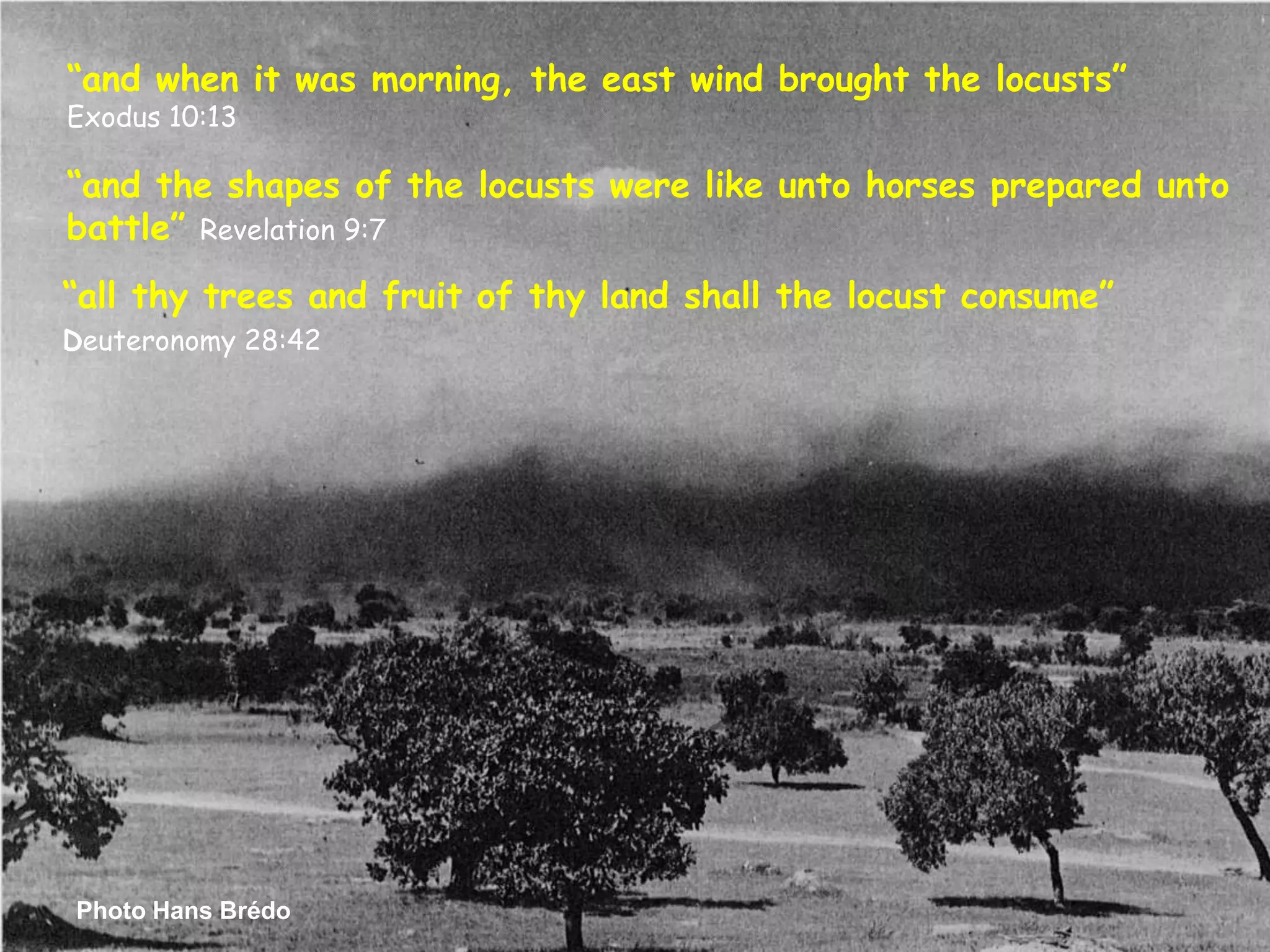 A monitoring system for preventive control of Desert Locust in West ...