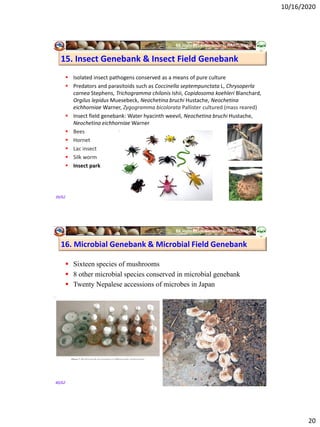 Genebank: Concept and Milestones in Nepal | PDF