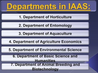 Information About IAAS/TU | PPT