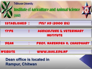 Information About IAAS/TU | PPT