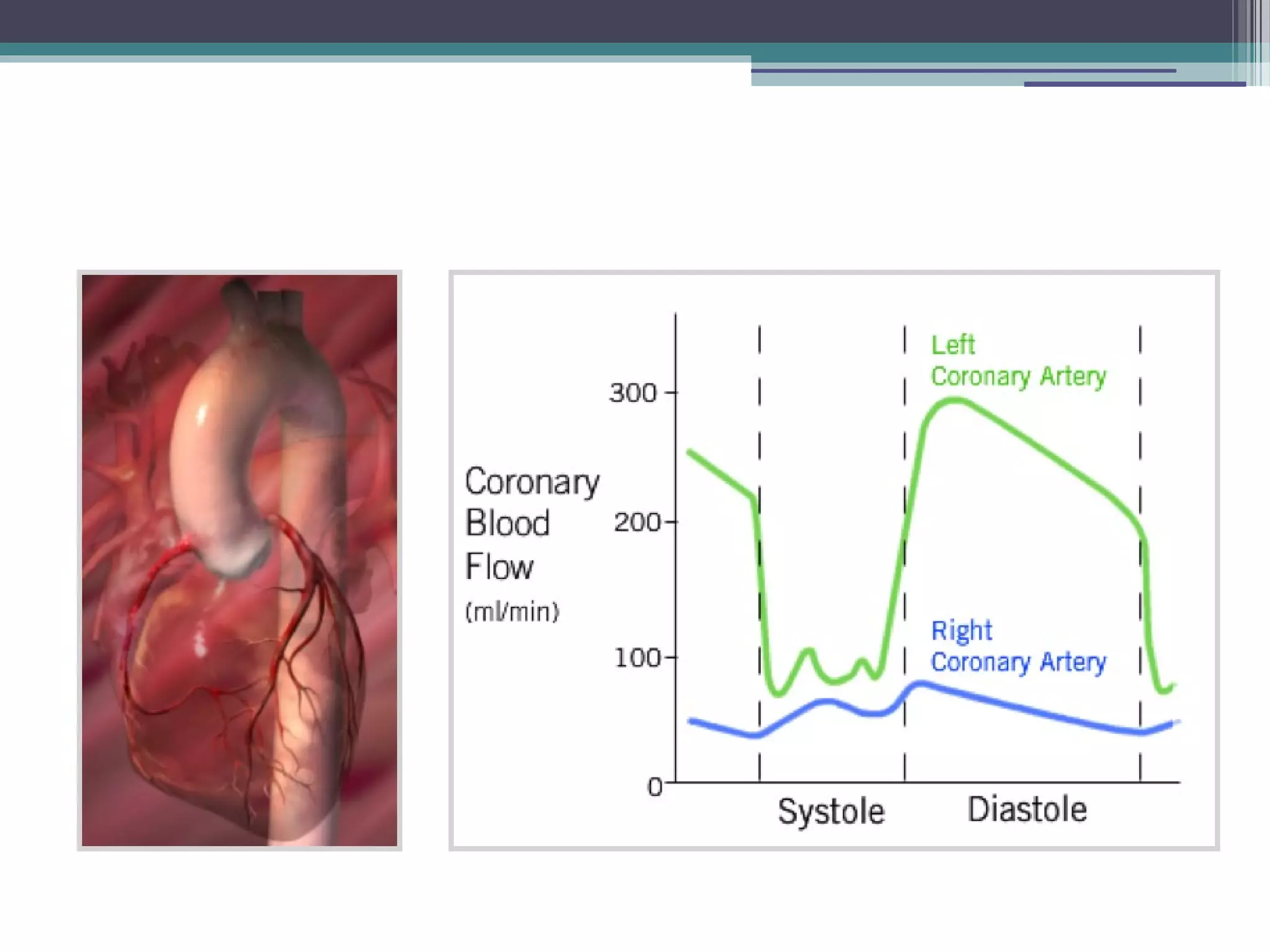 INTRA AORTIC BALLON PUMP (IABP) | PPT