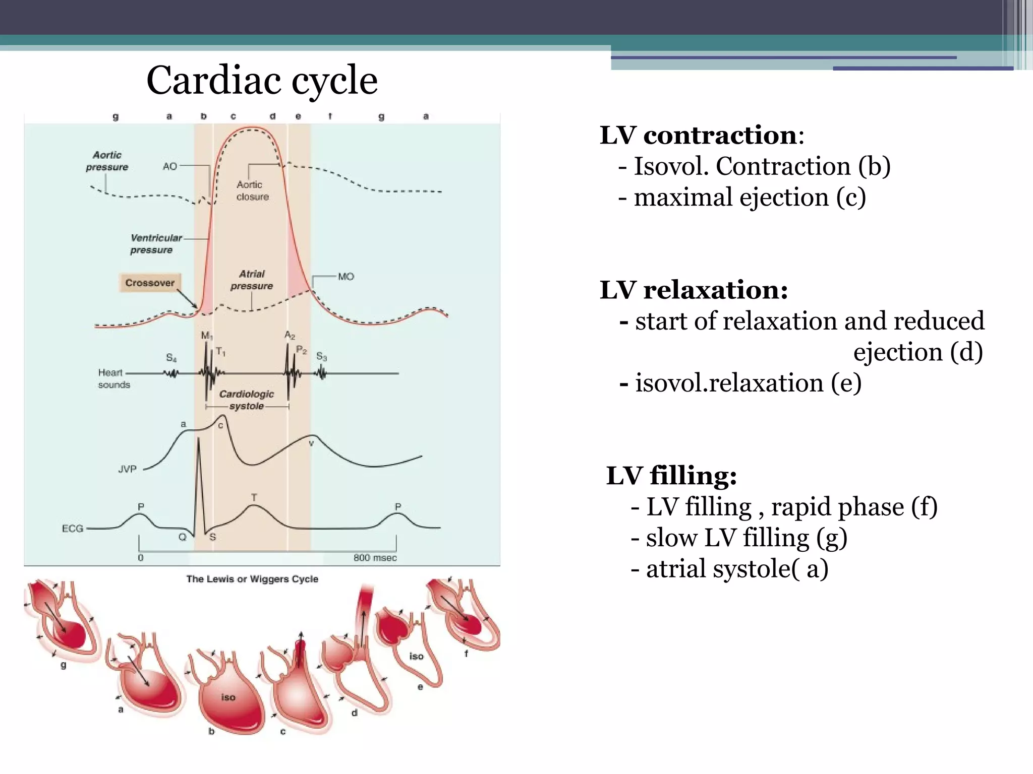 INTRA AORTIC BALLON PUMP (IABP) | PPT
