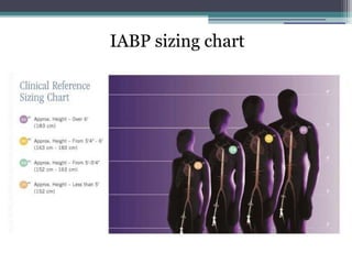 INTRA AORTIC BALLON PUMP (IABP) | PPT